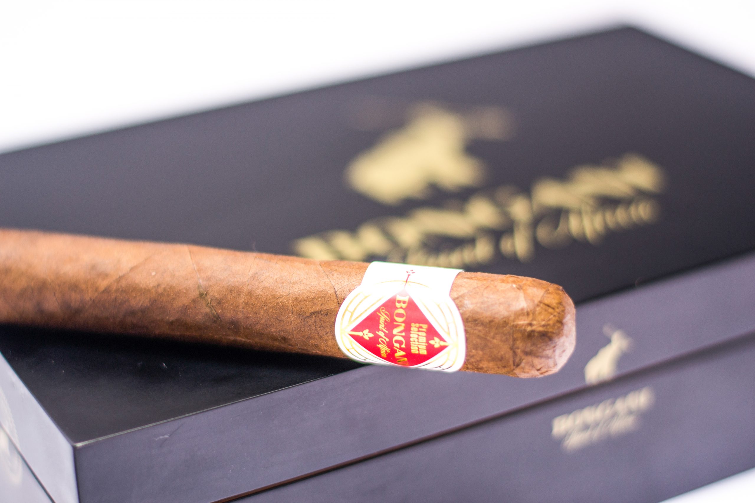 Bongani Robusto Cigar - Brick Cigars Kenya
